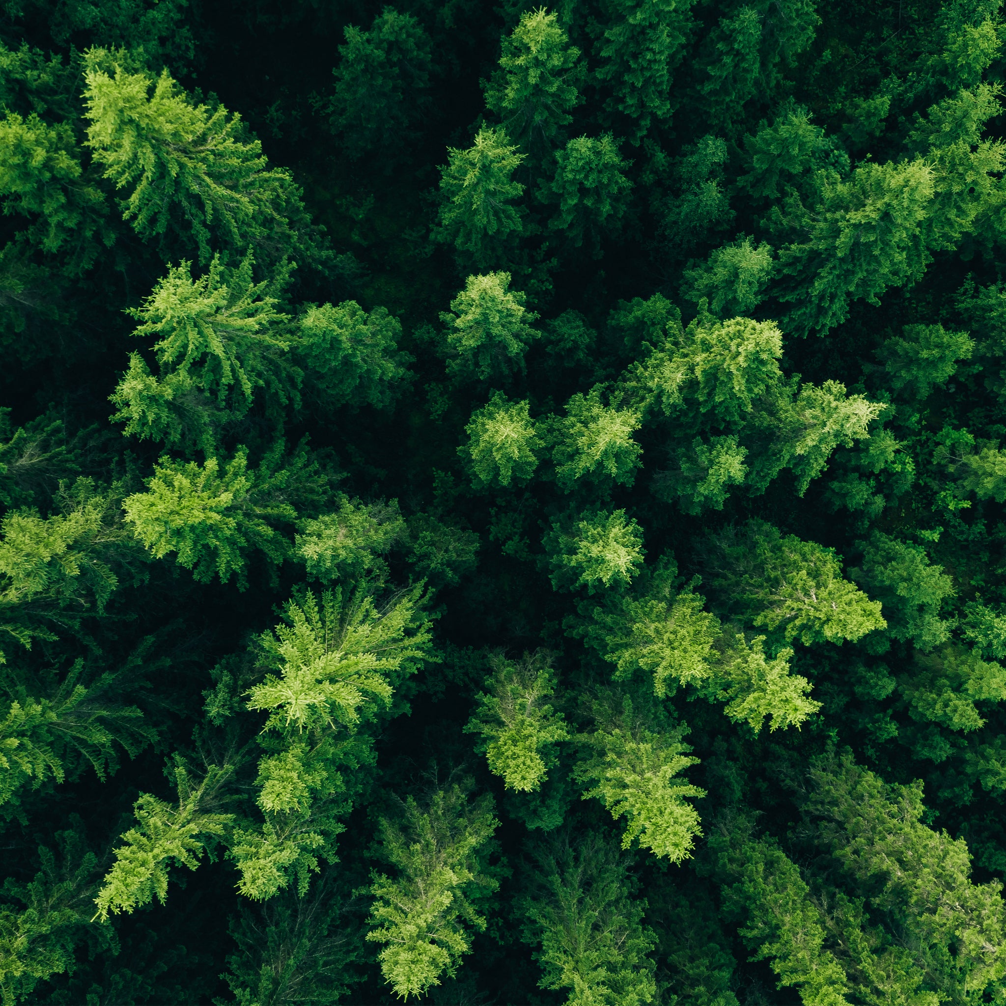 Timber Type | Ruby Furniture - Ruby Furniture