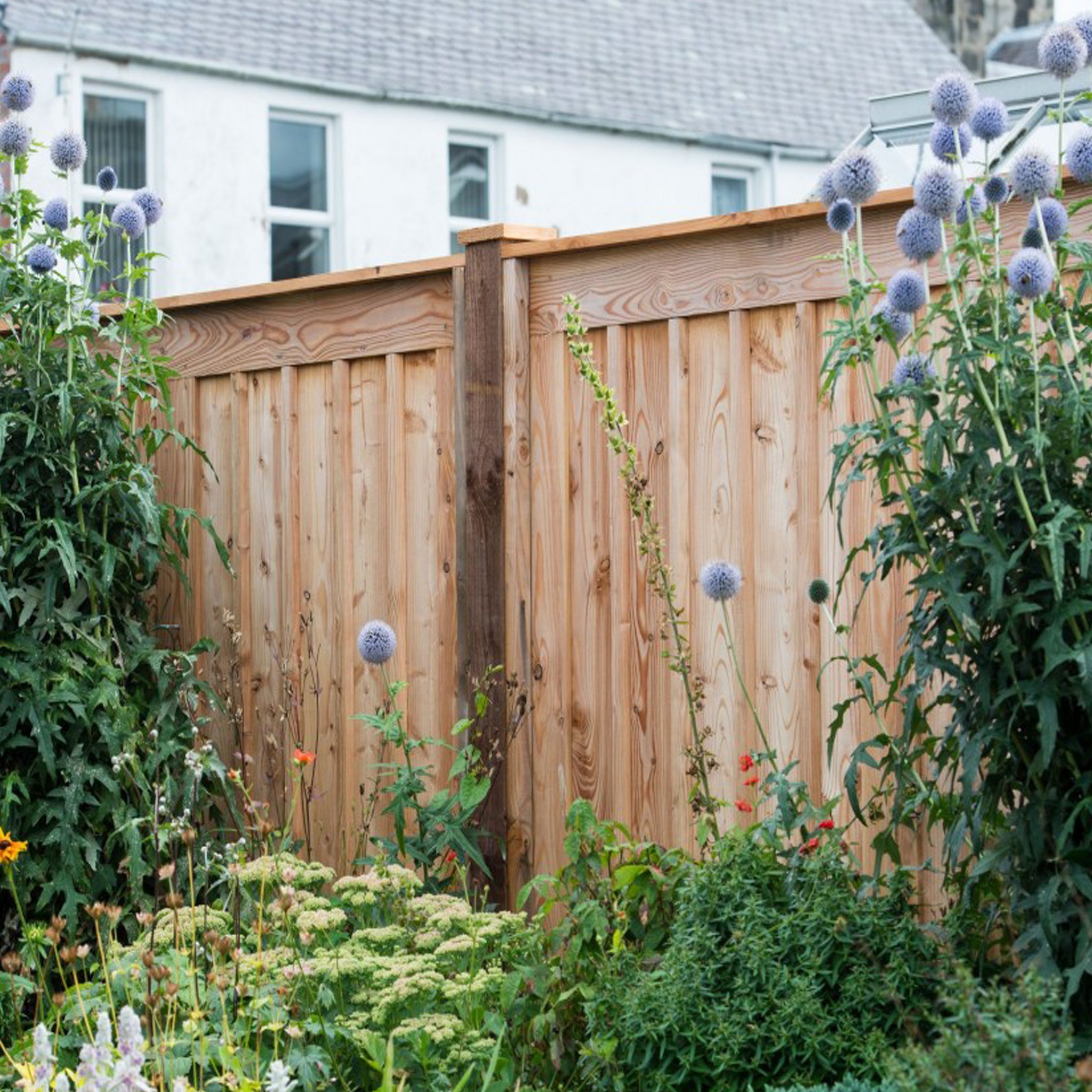 Wooden Fence Post | Concrete Fence Posts - Ruby Furniture